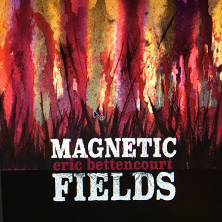 Magnetic Fields Cover: Various Versions | UnEzE